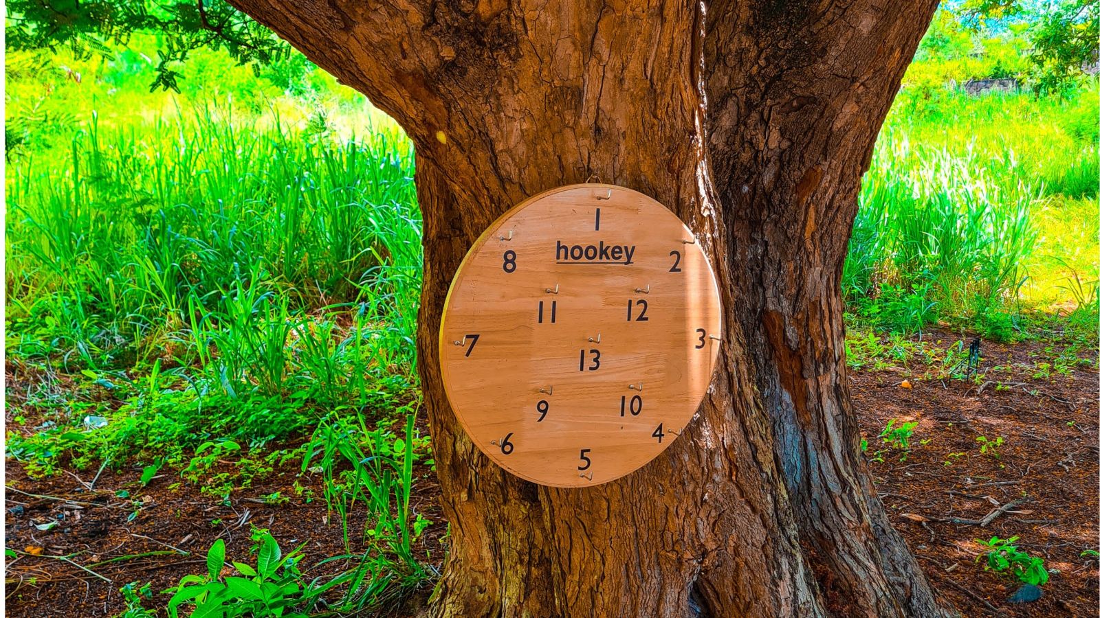 Giant Hookey Rental | Saint Andrew (Layou) | The Cariway